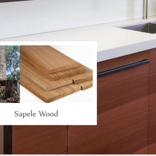 Sapele – Hanumantimbers