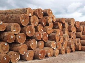 Wenge wood – Hanumantimbers