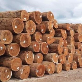 Wenge wood – Hanumantimbers